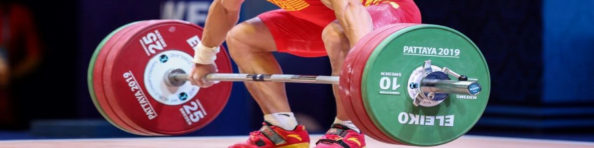 Curso de Especialista en Halterofilia